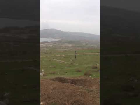 dagda gezirem butun baki gorunur ela bineqedi