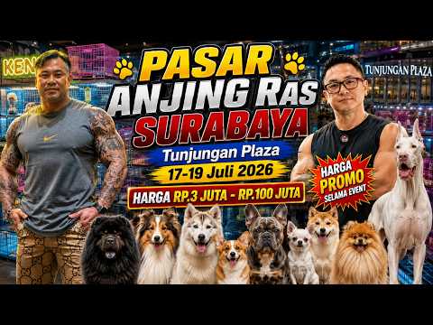 Grebek Pasar Anjing Ras Di Surabaya
