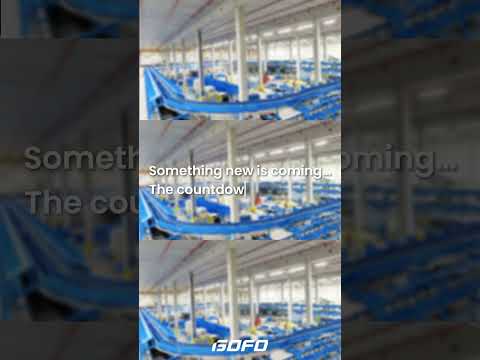 GOFO Netherlands | Something exciting is coming up!