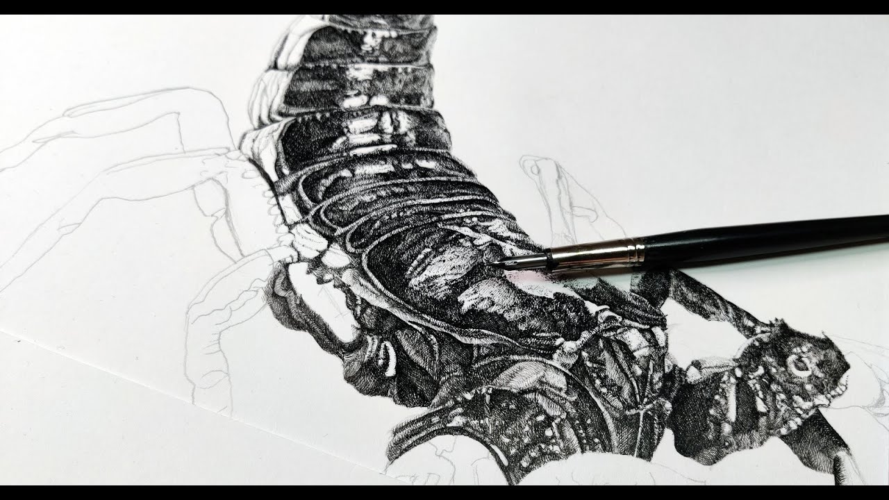 Realistic Scorpion Drawing - YouTube