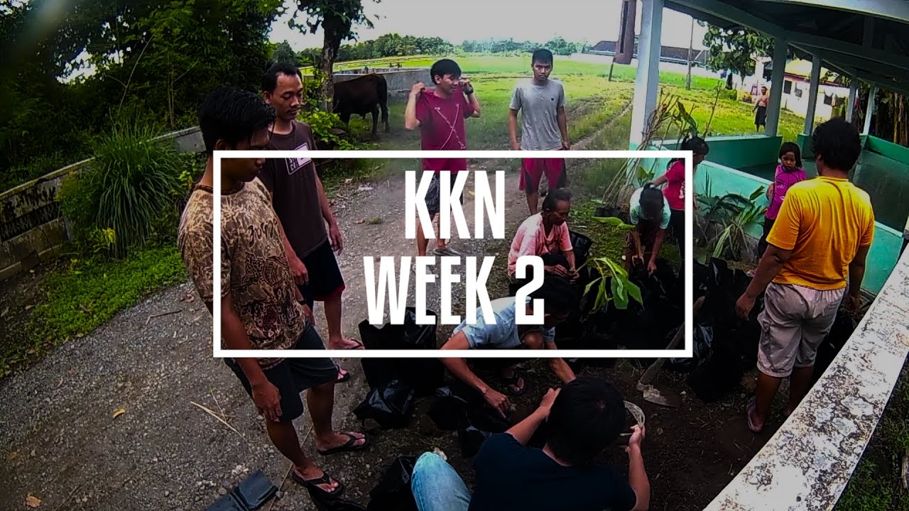 Recap KKN 113 Week 2 krapyak Kulon - YouTube