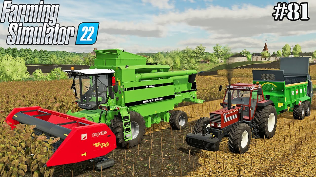 FS 22 |OLD FARM| Sunflower harvest. Manure spreading. Plowing ...