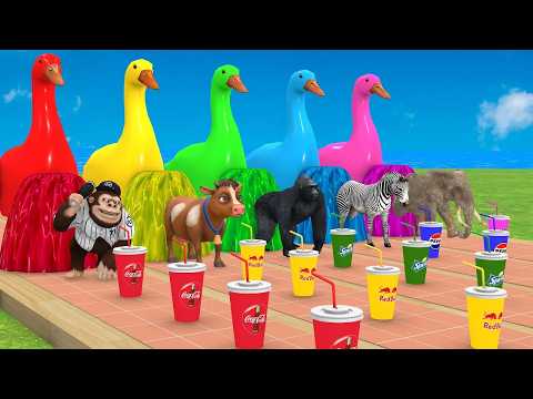 Long Slide Game With Cow Elephant Gorilla Hippopotamus Tiger 3d Animal Game Funny 3d Animals