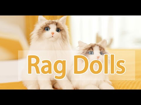 Ragdoll Cat Plush Toy Realistic Cat Plushie Kitten Stuffed Animal Realistic Cat Doll