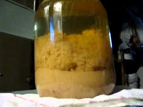 Ginger Beer Monster - YouTube