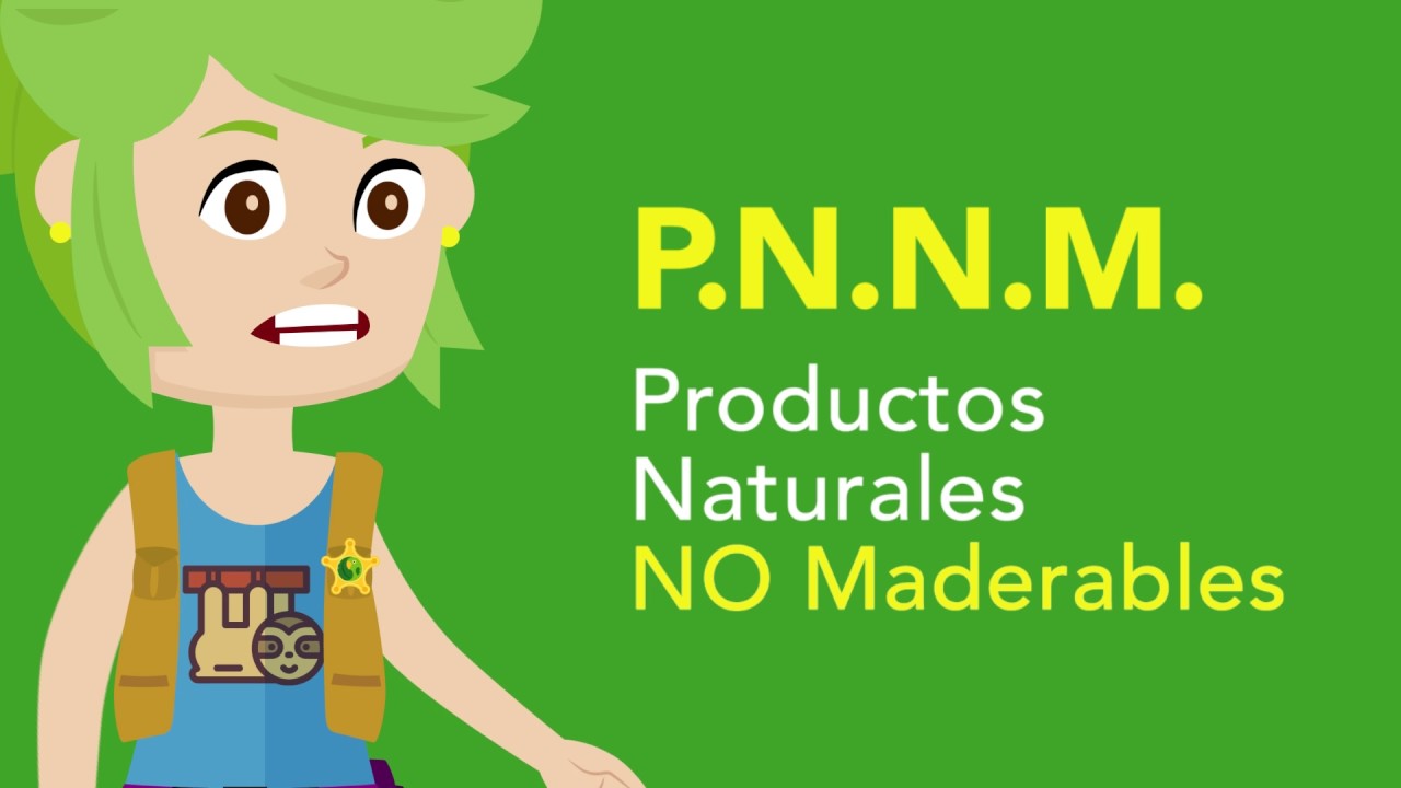 Modulo 6 Flora: Maderable y No Maderable - YouTube