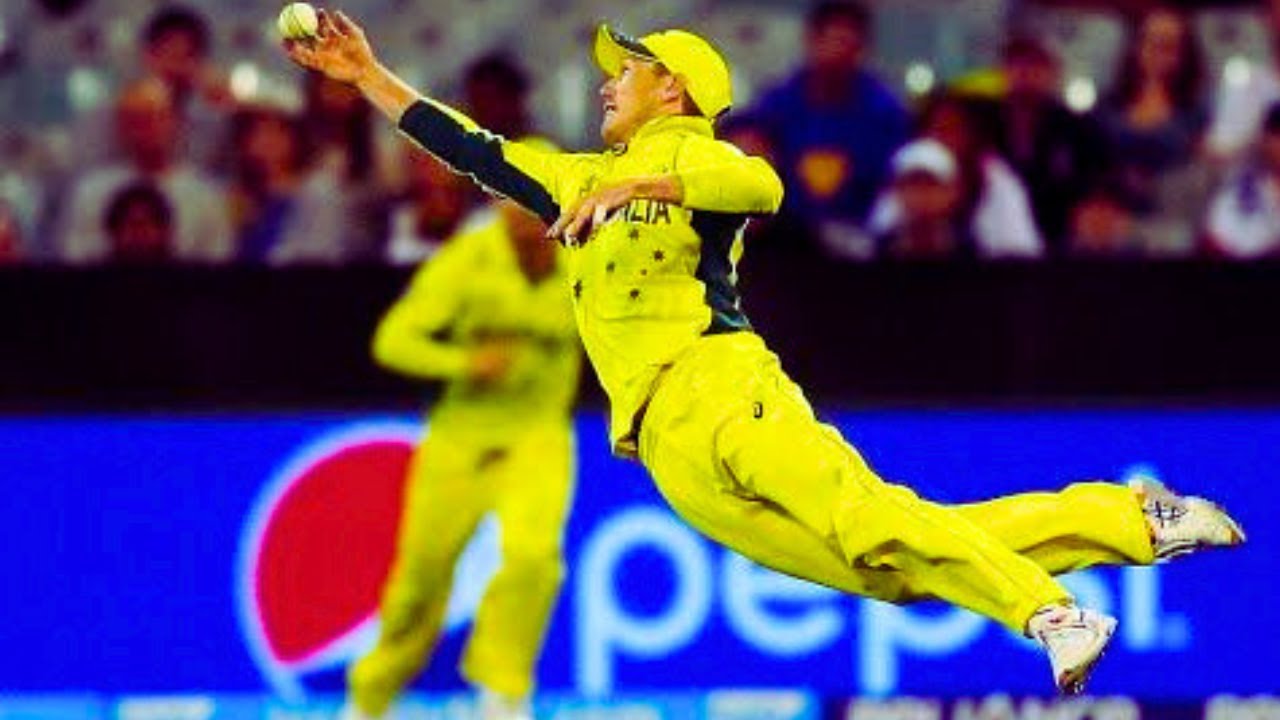 BEST CATCH IN CRICKET HISTORY! NEVER SEEN BEFORE THIS TYPE OF CATCH ...