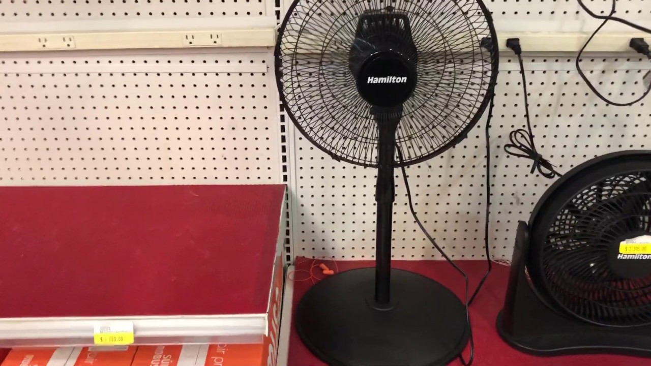 Hamilton Pedestal Fan 12" - YouTube