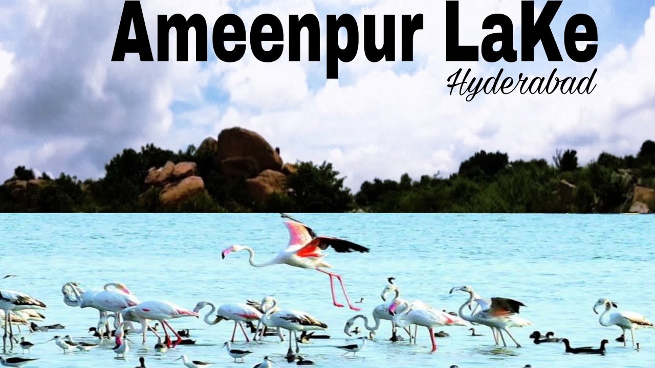 Ameenpur lake Hyderabad || Ameenpur cheruvu Hyderabad || My first video ...