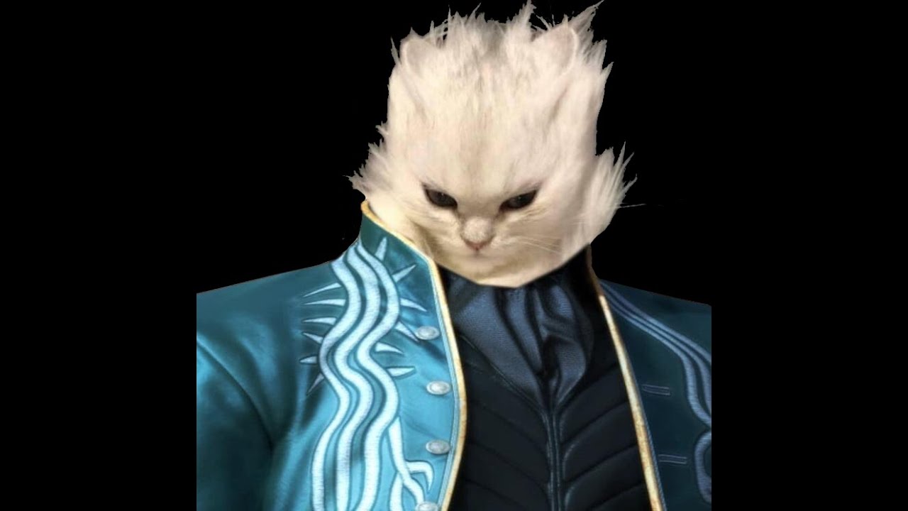 Vergil Cat [DMC Meme] - YouTube