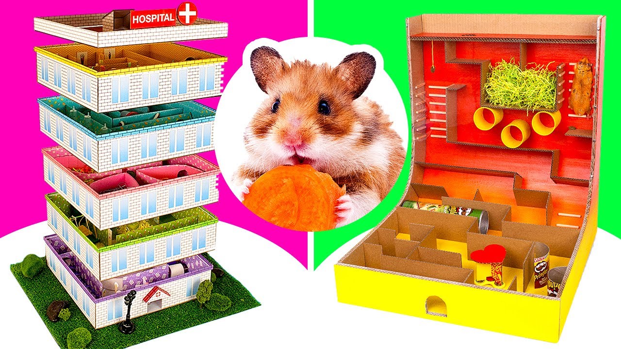 2 DIY Hamster Mazes || Don't Let Your Pet Hamster Get Bored! - YouTube