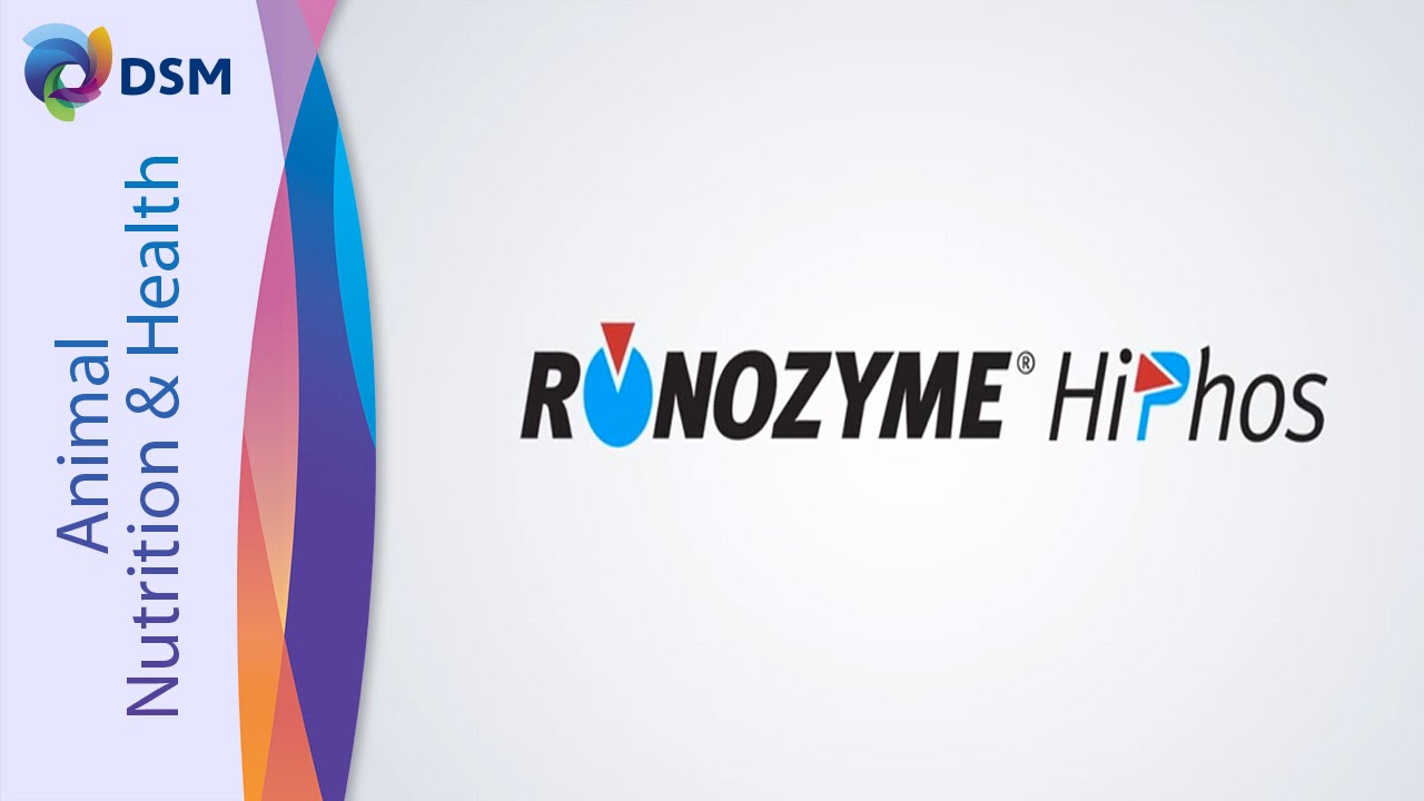 RONOZYME® HiPhos Launch - The Feed Enzymes Discovery Timeline - YouTube