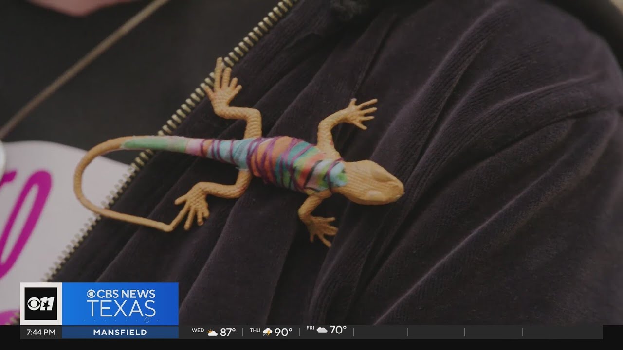 Lizard has huge story to tell about climate change - YouTube