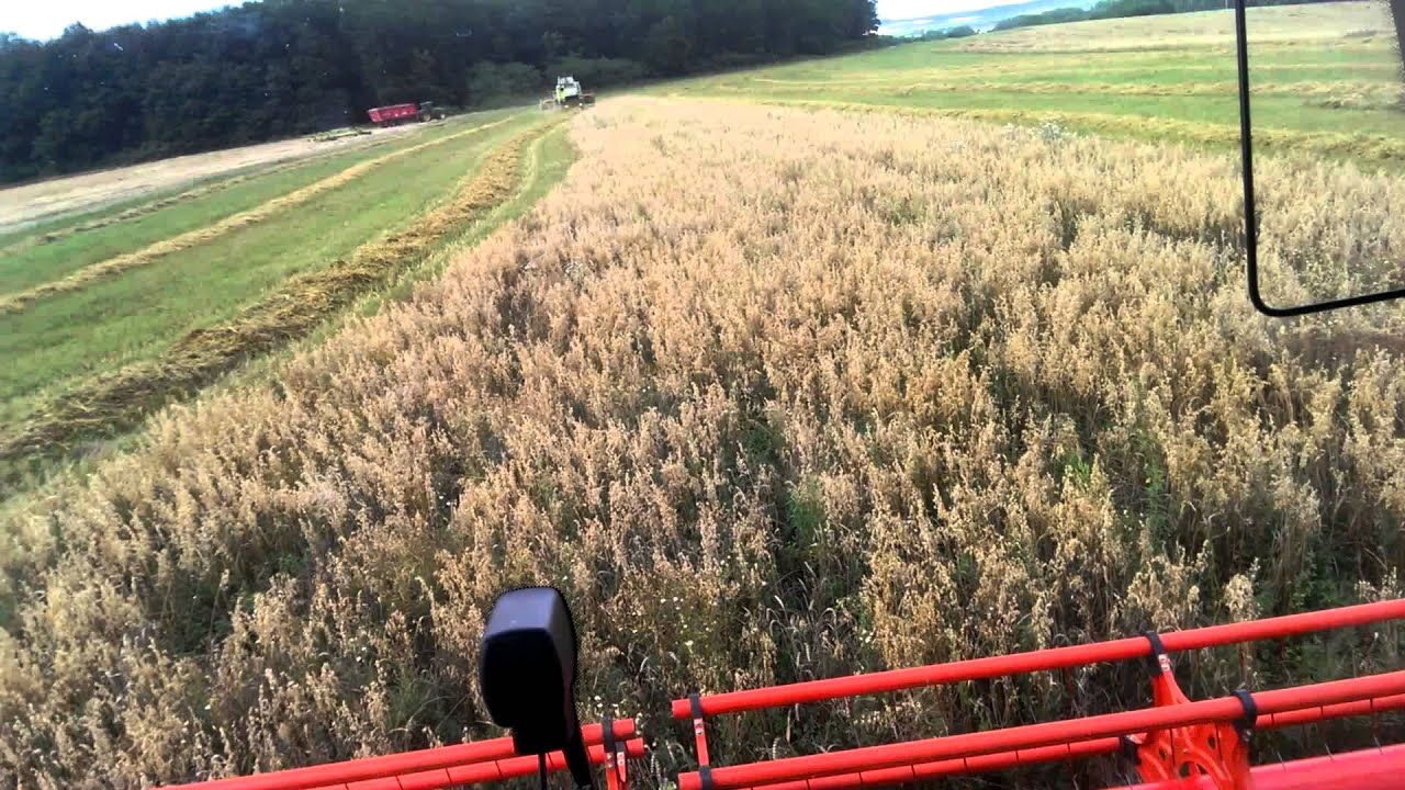 Class Lexion 760 - ovos - YouTube