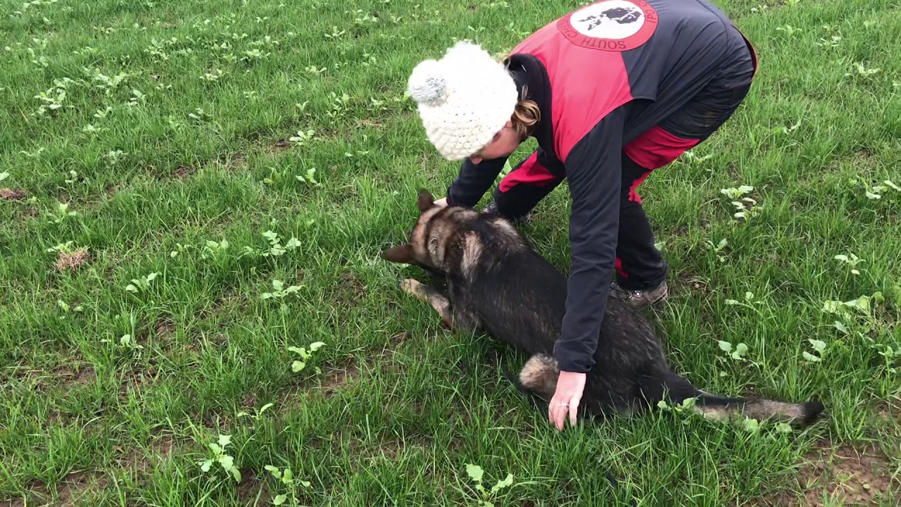 Xam IPG tracking training - YouTube