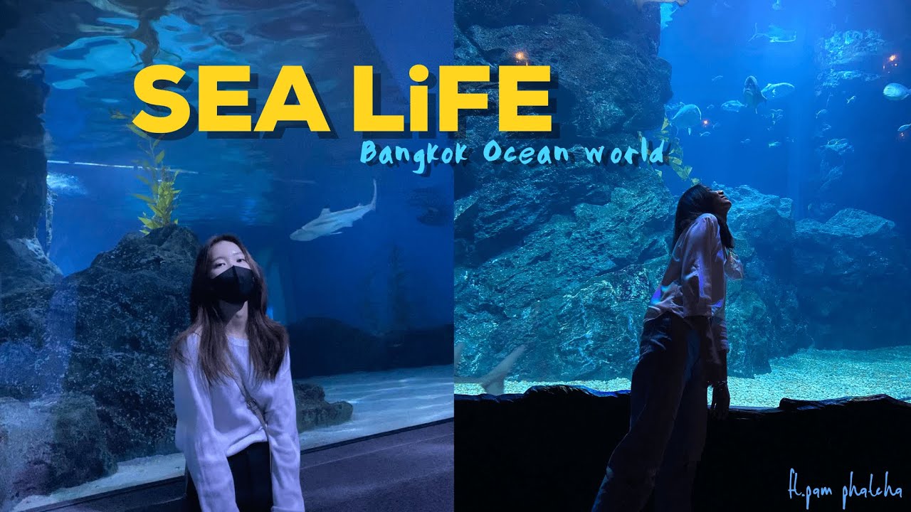 [Story#3] SEA LiFE Bangkok Ocean World First time! 🦈 - YouTube
