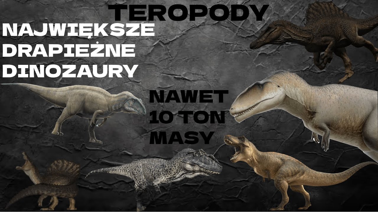 Największe Mięsożerne Dinozaury Świata. #dinozaury - YouTube
