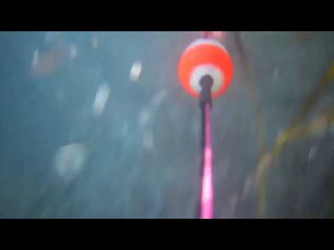 Testing Prototype Gen 6 Underwater Camera