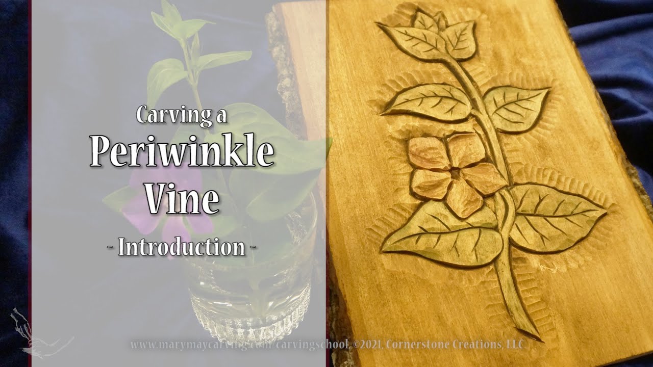 Carving a Periwinkle - Introduction - YouTube