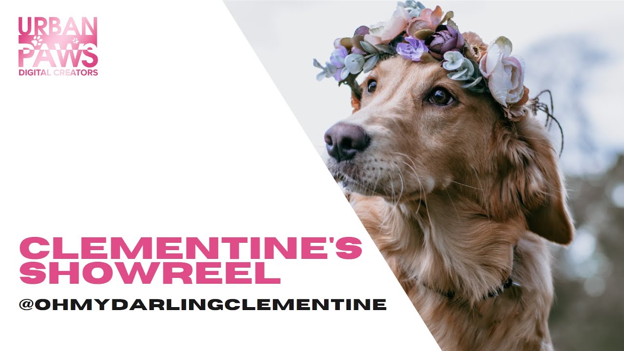 Clementine - @ohmydarlingclementine - Showreel - YouTube