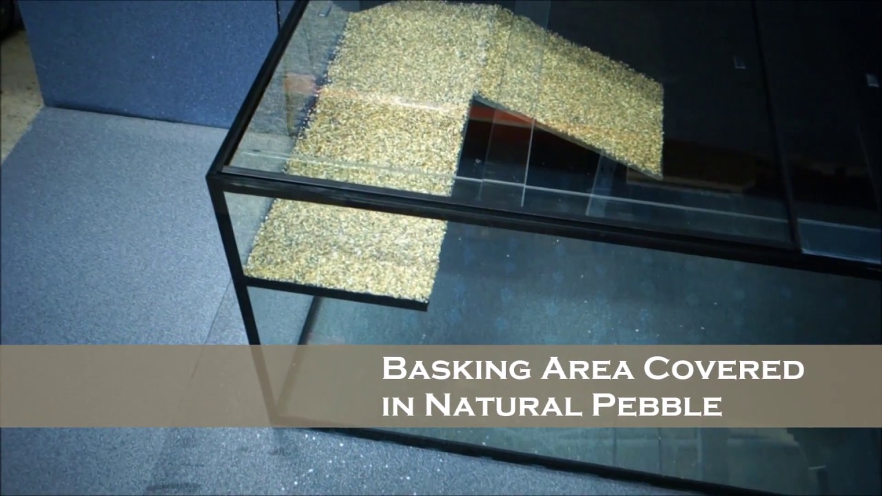 Large Custom Made Turtle Tank/ Terrapin Aquarium from Prime Aquariums ...