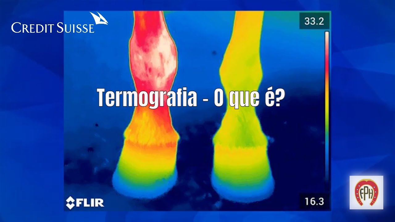 O que é termografia? Das guerras para os cuidados com a saúde humana e ...