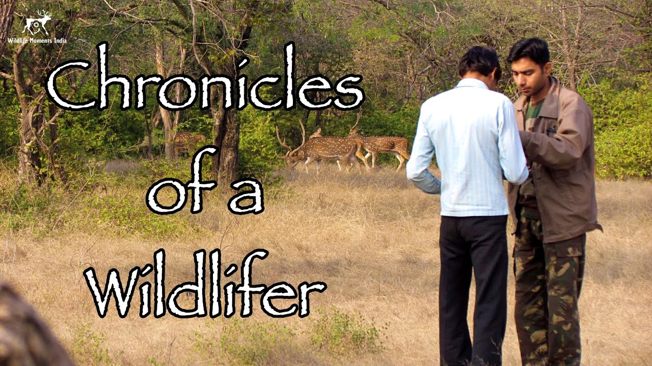 "Chronicles of a Wildlifer" | Wildlife Documentary | Wildlife Week 2021 ...