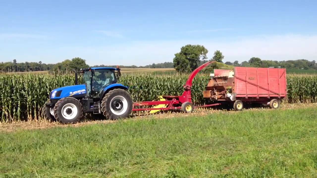 Chopping corn two rows at a time - YouTube