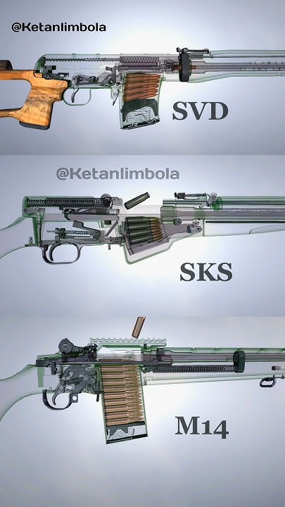 SVD x SKS x M14 - YouTube