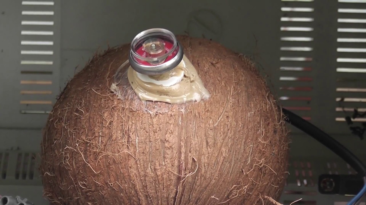 Another Coconut explodes at 8 kV - YouTube