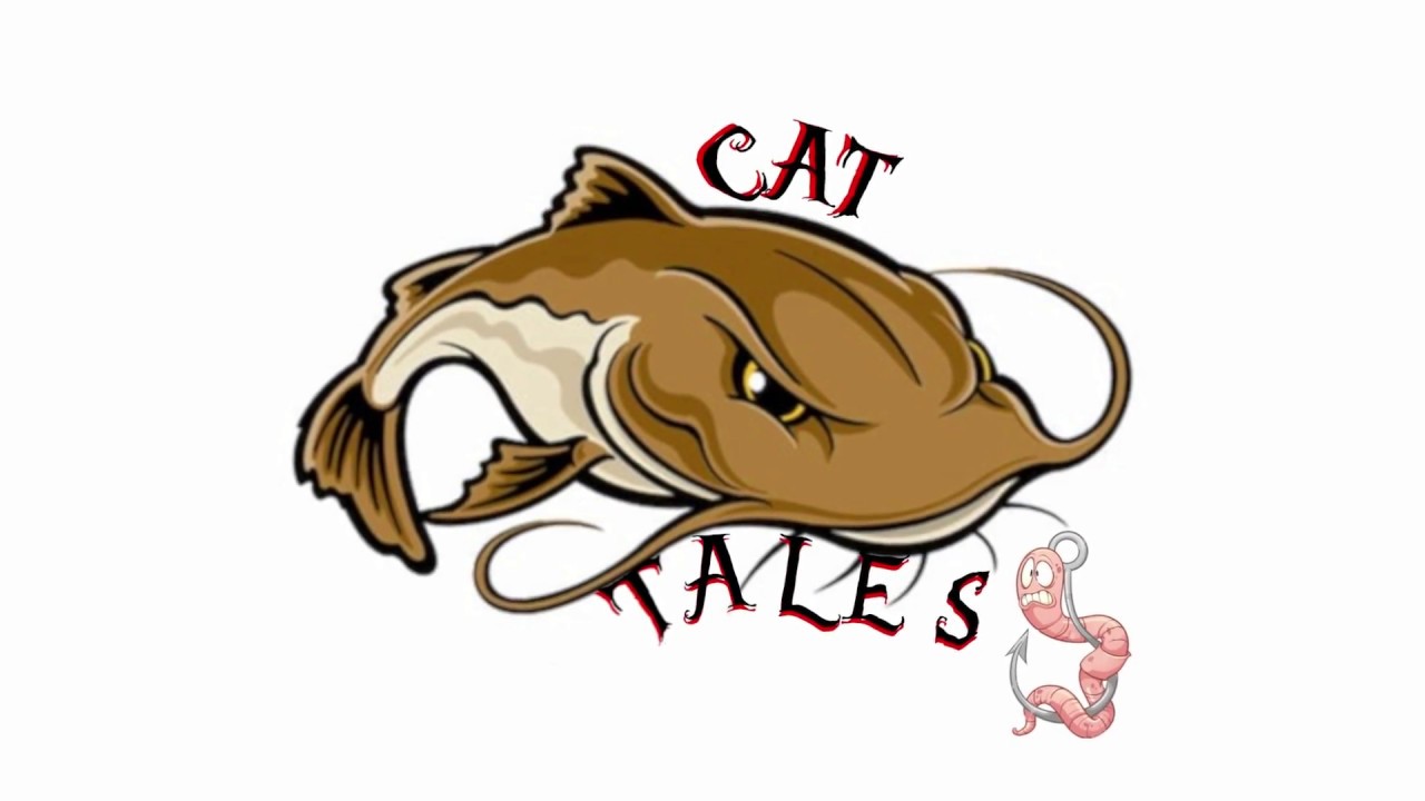 Bullhead Catch and Cook! - YouTube