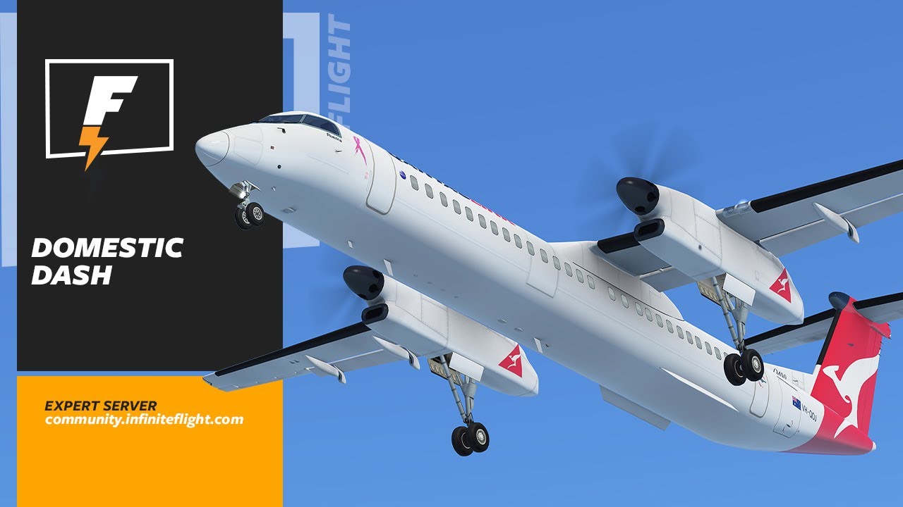 Flash Flight: Domestic Dash! - YouTube