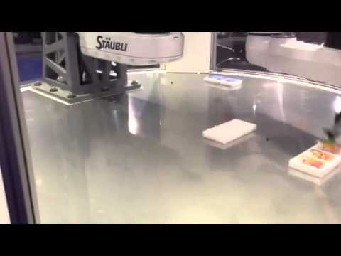 Crazy fast pick and place robot arm (Stäubli Industrial Robot) - YouTube