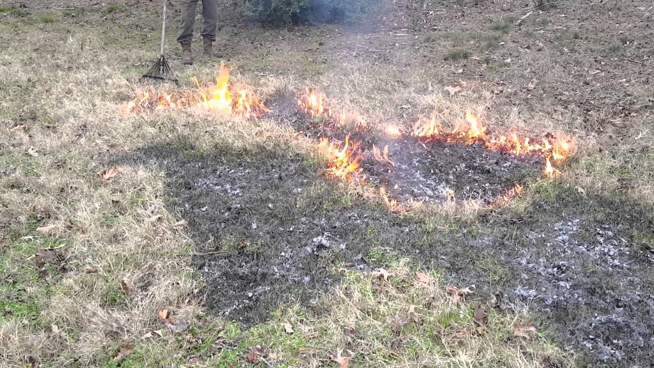 Burning Stuff 130: Controlled Burn - YouTube
