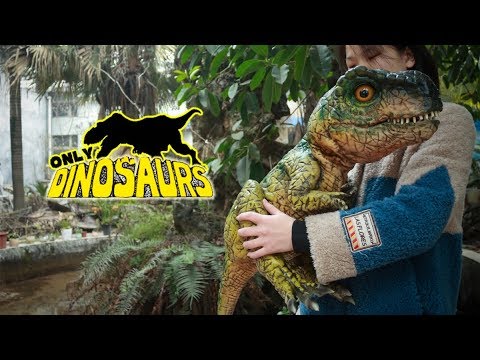 Green baby T-rex puppet - YouTube