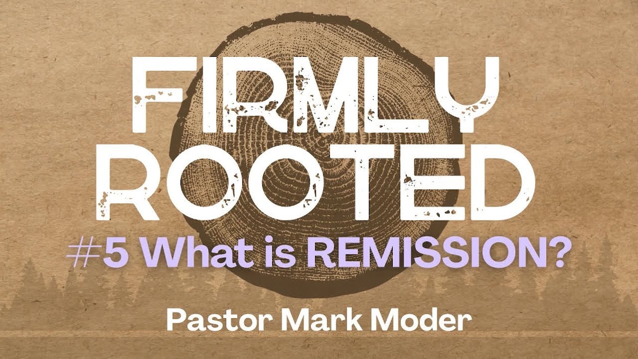 Firmly Rooted #5 CTVN - YouTube