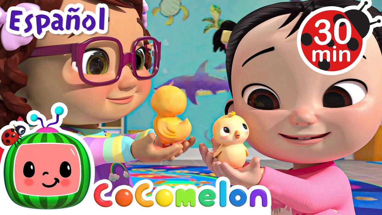 Cotando pollitos 🐣🐣| Canciones Infantiles | Caricaturas para bebés ...