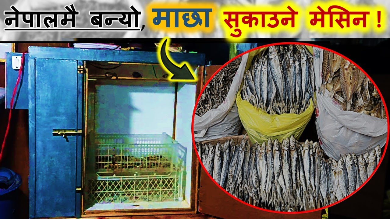 Fish drying Machine!! Dehydrator Machine!! Abiram Agro-Tech +977 9705 ...