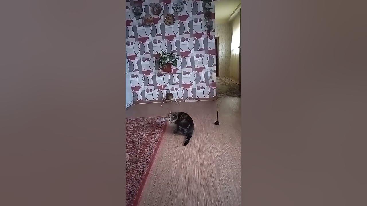 Евочка🥰 Youtube