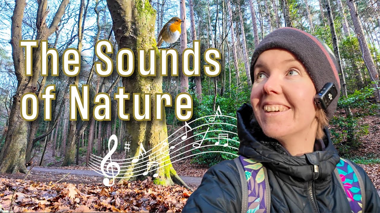 Nature's Beauty Through Photos and Sounds | Immersive Audio-Visual ...