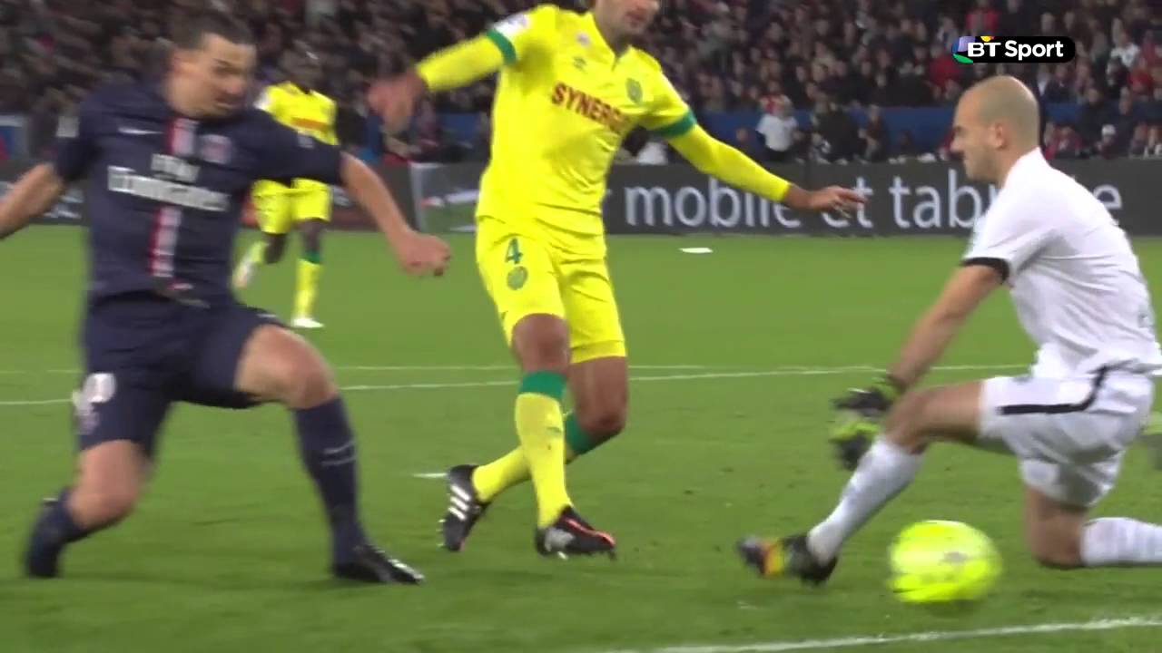 Zlatan Ibrahimovic Goal Celebration