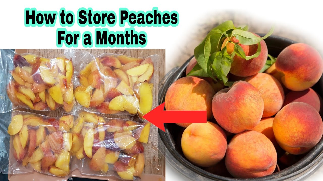 How to Store Peaches For a Months| Preserve Peaches For Long Time ...