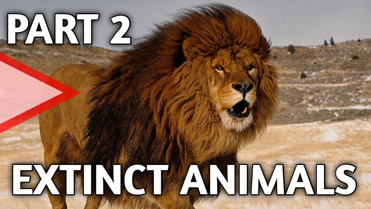 Extinct Animals Part 2 - YouTube