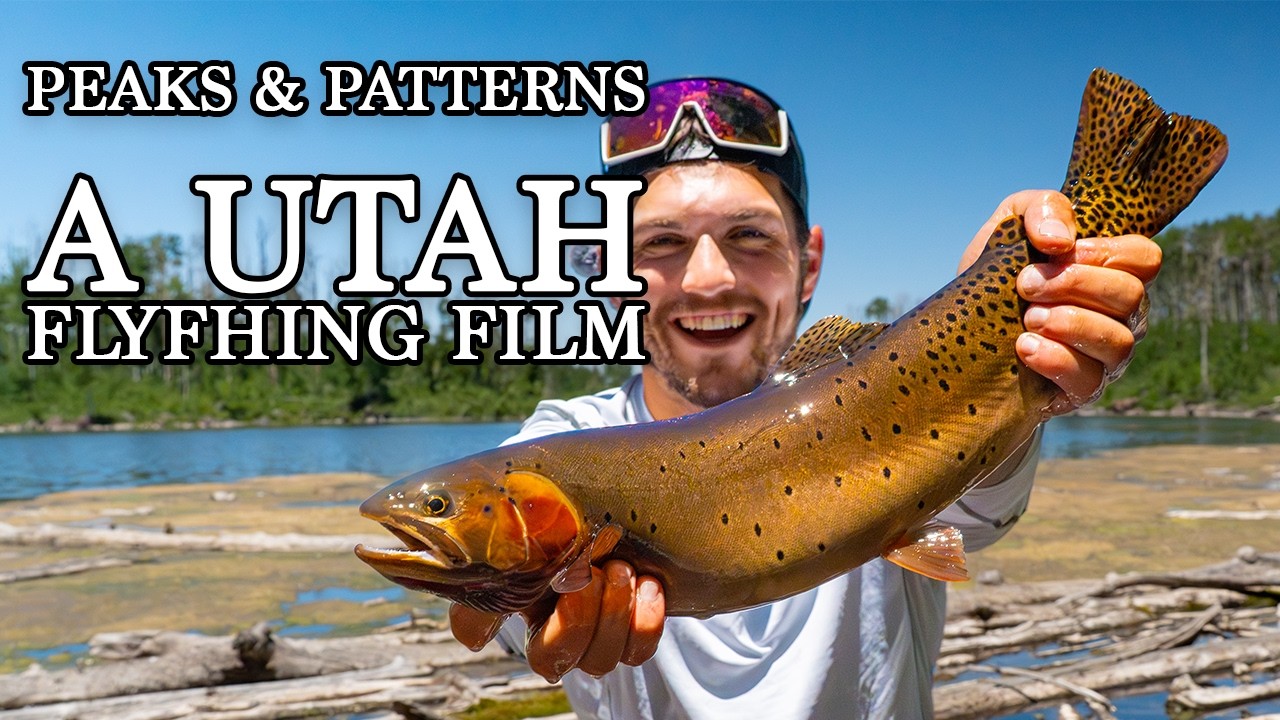 Fly Fishing for Wild Trout in Rugged Utah Mountains | Peaks and ...