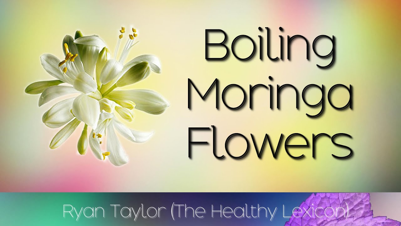 What Are The Benefits Of Moringa Flowers at David Boyette blog
