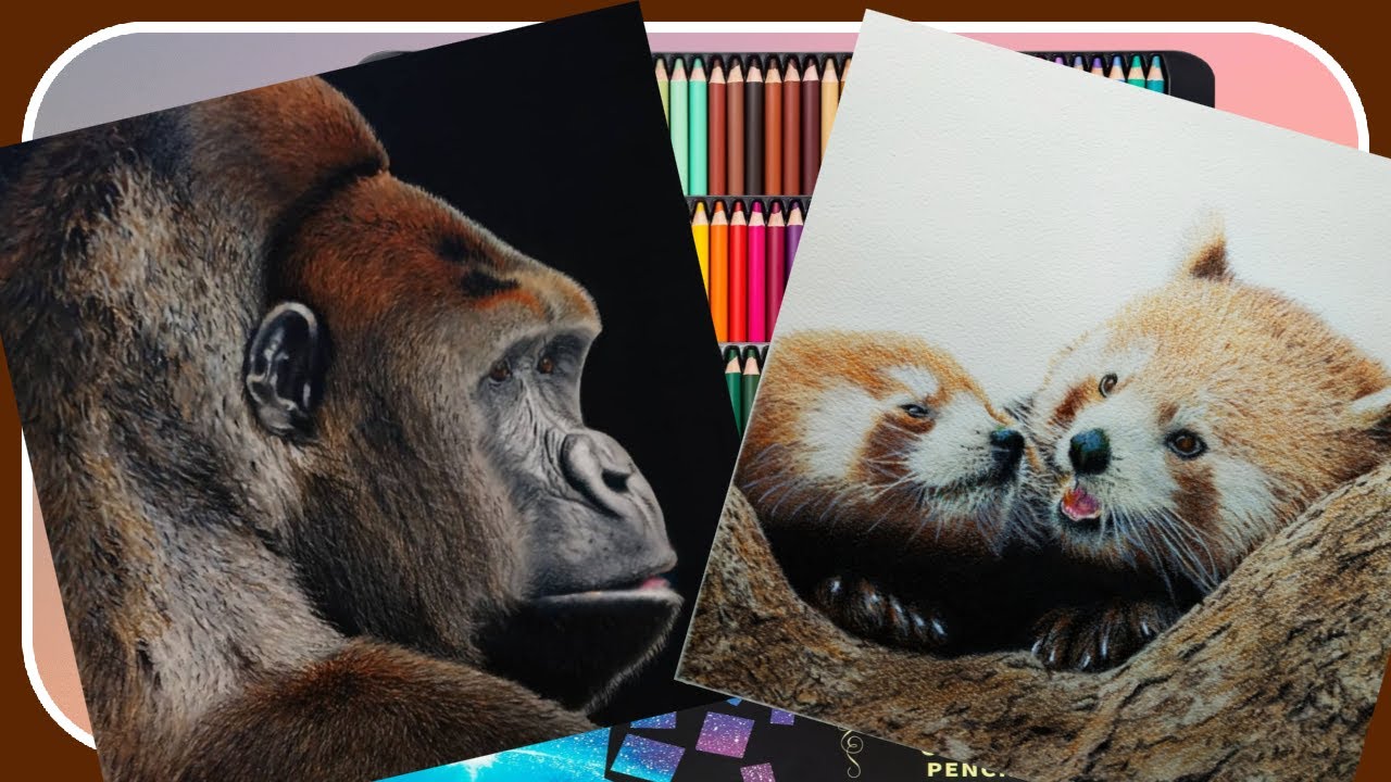 Shocking Colored Pencil Pictures / This Weeks Winners - YouTube
