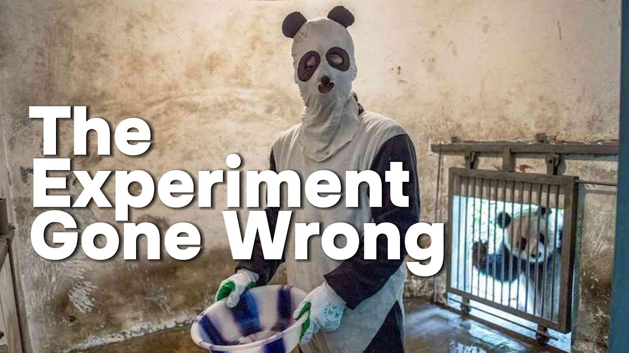 "The Forgotten Experiment" Creepypasta story - YouTube