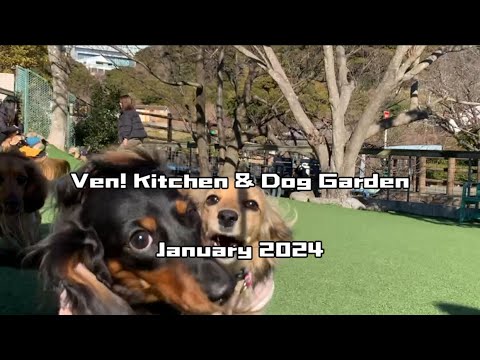 Ven! Kitchen & Dog Garden 3 - YouTube