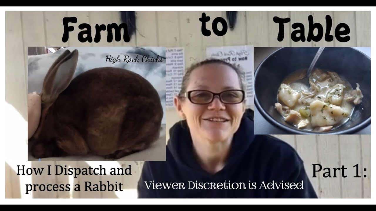 Farm to Table Part 1- How I dispatch and process a rabbit. . VIEWER ...