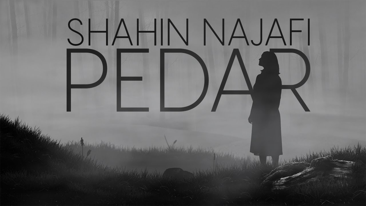 Shahin Najafi Naghi